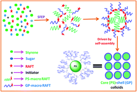 RAFT mediated one-pot synthesis of glycopolymer particles with tunable ...