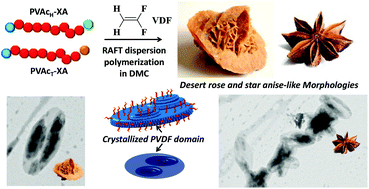 Polymerization-induced self-assembly of PVAc-b-PVDF block copolymers ...