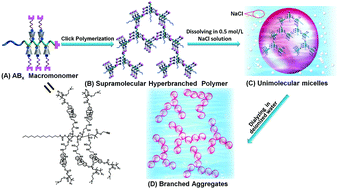 ABx-type amphiphilic macromonomer-based supramolecular hyperbranched ...