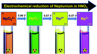 Mechanisms of neptunium redox reactions in nitric acid solutions ...