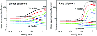Role of chain ends in coil deformation of driven single polymer ...