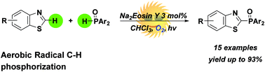 Visible light mediated aerobic radical C–H phosphorization toward ...