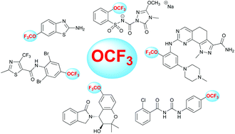 New entries toward the synthesis of OCF3-containing molecules - Organic ...