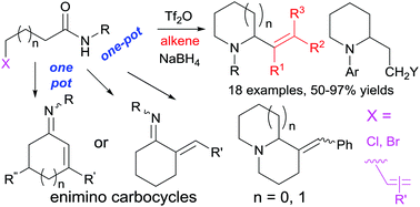 One-pot synthesis of N-heterocycles and enimino carbocycles by tandem ...