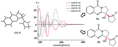 Peganumine B-I and two enantiomers: new alkaloids from the seeds of ...