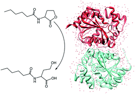 Quantum mechanics and molecular mechanics study of the reaction ...