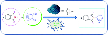 A facile and practical copper diacetate mediated, ligand free C–N cross ...