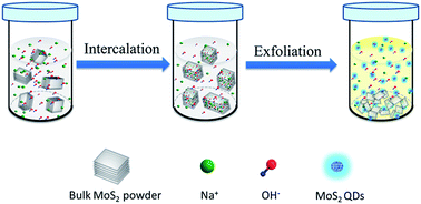 A facile one-step method to produce MoS2 quantum dots as promising bio ...