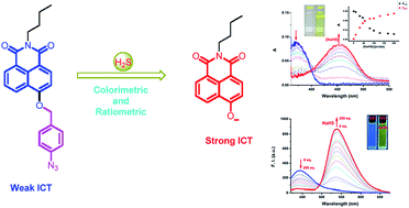 An ICT-based colorimetric and ratiometric fluorescent probe for ...