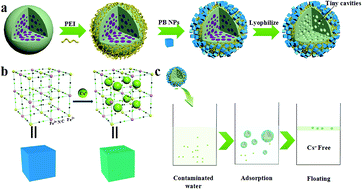 Prussian blue functionalized microcapsules for effective removal of ...