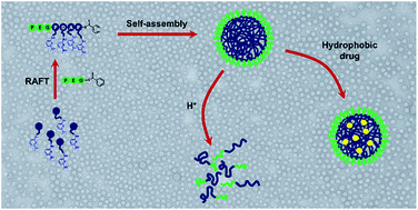 Polymeric micelles from block copolymers containing 2,6 ...
