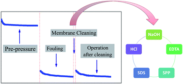 Advanced Polymers For Cleaning