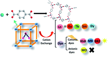 Anionic metal–organic framework hybrids: functionalization with ...