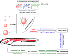 A library of AuNPs modified by RAFT polymers of different charge and chain length: high ...