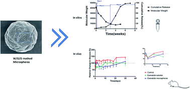 Exenatide loaded PLGA microspheres for long-acting antidiabetic therapy ...