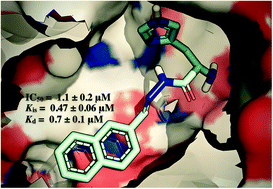 Mycobacterium tuberculosis histidinol dehydrogenase: biochemical ...