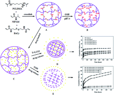 Biodegradable, thermoresponsive PNIPAM-based hydrogel scaffolds for the sustained release of ...