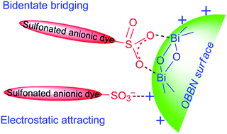 Rapid and high-capacity adsorption of sulfonated anionic dyes onto ...