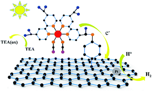 A robust and efficient visible light driven photocatalyst for hydrogen ...
