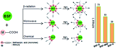 Surface modification of banana stem fibers via radiation induced ...