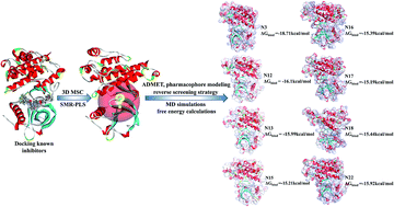 Discovery of vascular endothelial growth factor receptor tyrosine ...