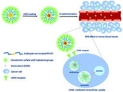 Pluronic F127–chondroitin sulfate micelles prepared through a facile ...