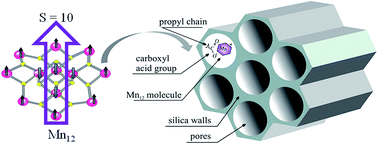 Relaxation and magnetocaloric effect in the Mn12 molecular nanomagnet ...