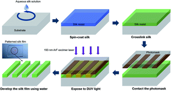 Eco-friendly photolithography using water-developable pure silk fibroin ...