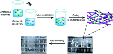 Enzymatic waterborne polyurethane towards a robust and environmentally ...