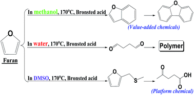 Effects of water and alcohols on the polymerization of furan during its ...