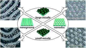 Template-assisted self-assembly of diblock copolymer micelles for non ...