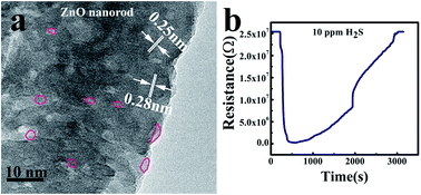 Improved H2S gas sensing properties of ZnO nanorods via decoration of ...