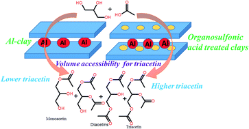 Volume accessibility of acid sites in modified montmorillonite and ...