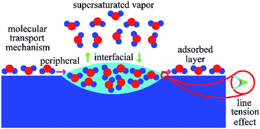 Effect of a triple contact line on the thermokinetics of dropwise ...