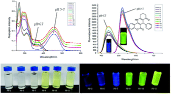 High quantum yield and pH sensitive fluorescence dyes based on coumarin derivatives ...
