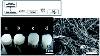 Synthesis and characterization of cellulose triacetate aerogels with ...