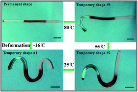 Multiple shape memory polymers for self-deployable device - RSC ...