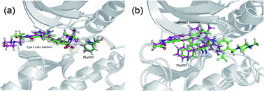 Insights into DFG-in and DFG-out JAK2 binding modes for a rational ...