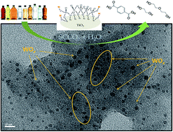 Tungsten-promoted titania as solid acid for catalytic hydrolysis of ...
