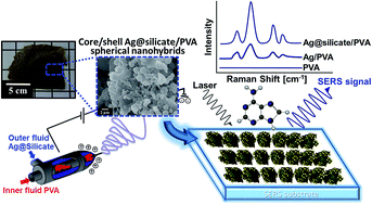 Core/shell Ag@silicate nanoplatelets and poly(vinyl alcohol) spherical ...