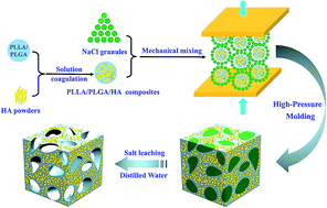 Tailor-made poly(l-lactide)/poly(lactide-co-glycolide)/hydroxyapatite ...