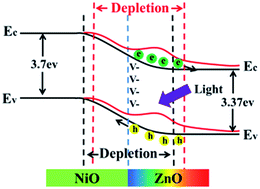 Enhancing performance of ZnO/NiO UV photodetector by piezo-phototronic effect - RSC Advances ...