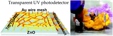 Large area transparent ZnO photodetectors with Au wire network ...