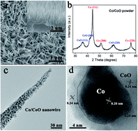 Co nanoparticles embedded in a 3D CoO matrix for electrocatalytic ...