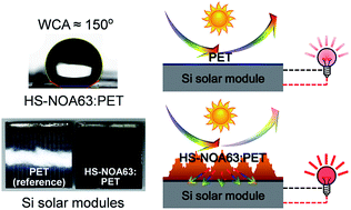 Hierarchical structured polymers for light-absorption enhancement of ...