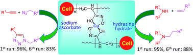 Poly(hydroxamic acid) functionalized copper catalyzed C–N bond ...