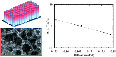 Diffusion kinetics of gold in TiO2 nanotube arrays for formation of Au ...