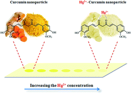 Highly selective and portable chemosensor for mercury determination in ...