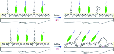 The impact of flexibility of polyimides backbones on the stability of ...