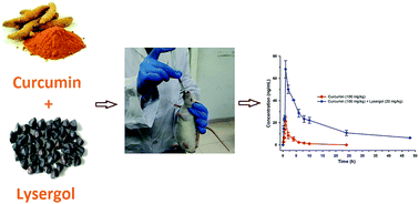 A mechanistic investigation of the bioavailability enhancing potential ...